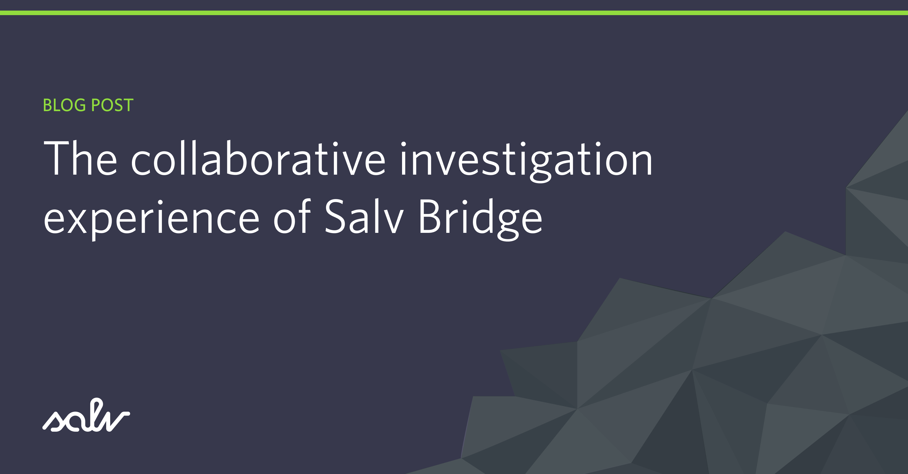 The collaborative investigation experience of Salv Bridge