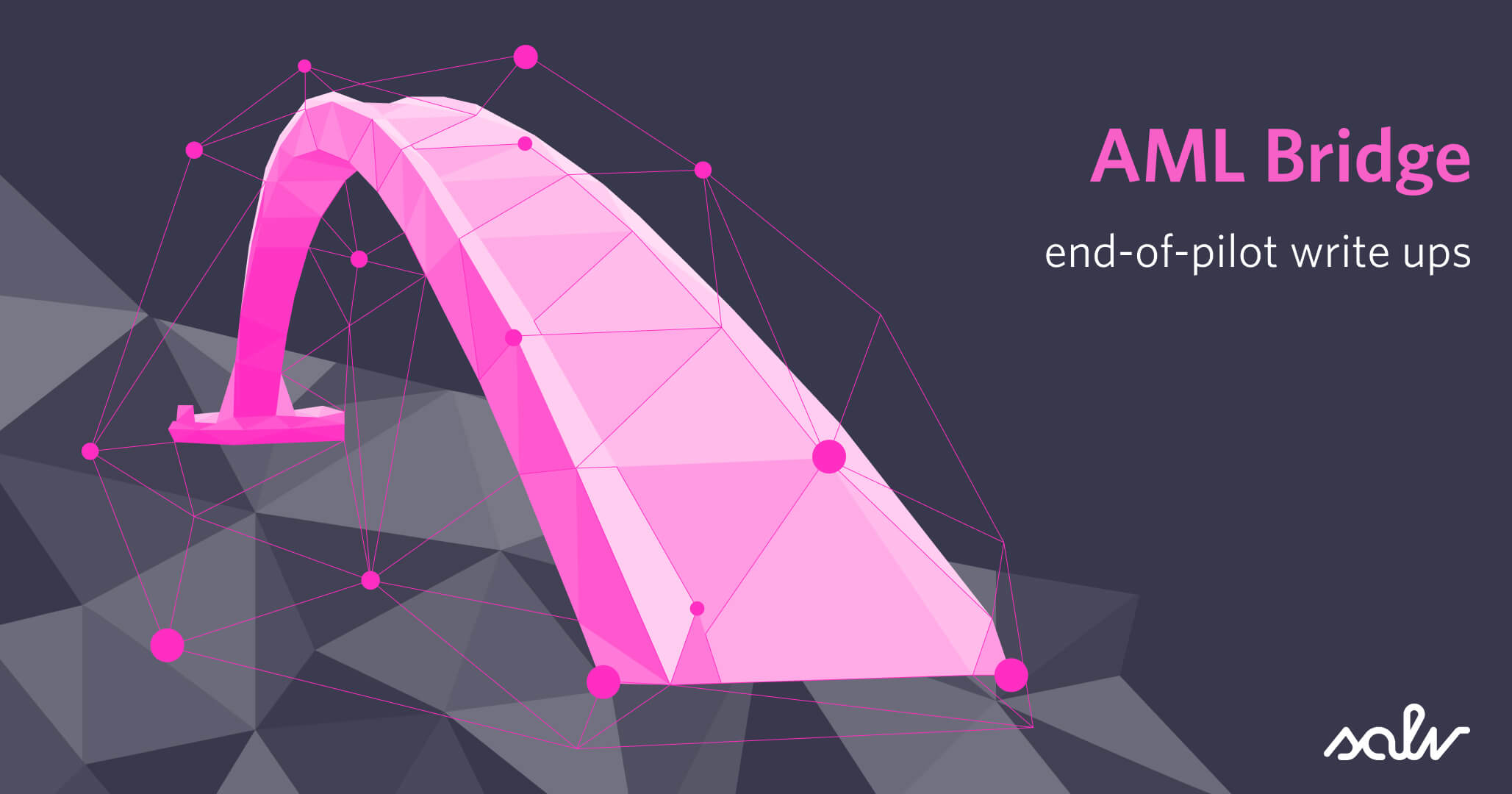 Salv Bridge Estonia pilot outcomes